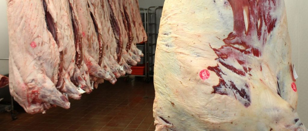 Cut Sheets - Bostrom Farms